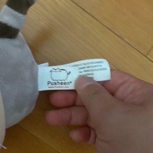 Gund | Toys | Gund Pusheen Donut Pool Float Summer Rare Collectible 5 ...